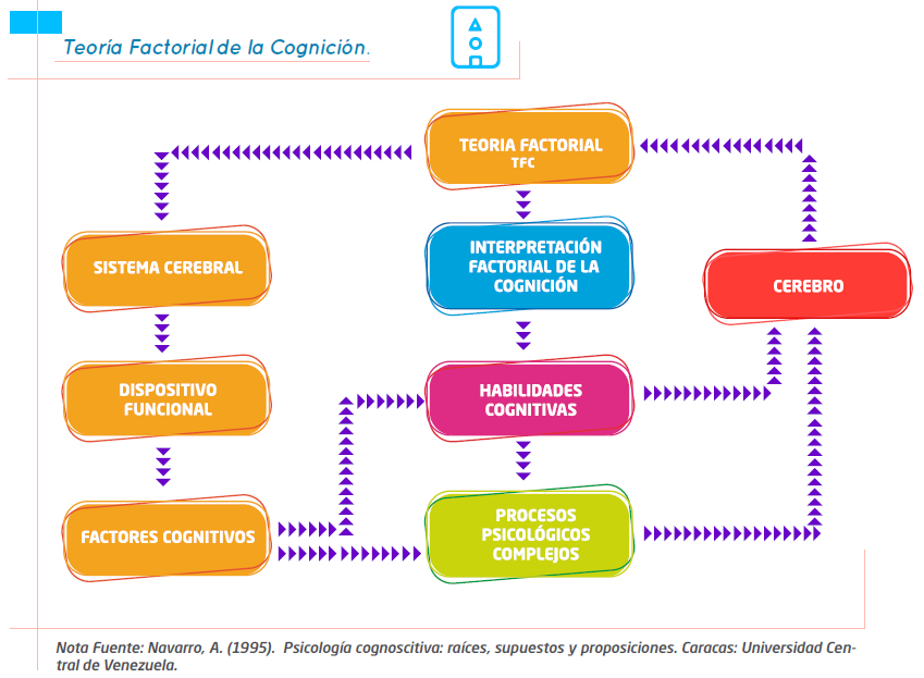 Relaciones Cerebro, Ciencia Cognitiva y Educación